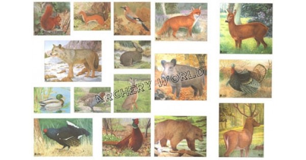 Full Set of 16 Animal Faces